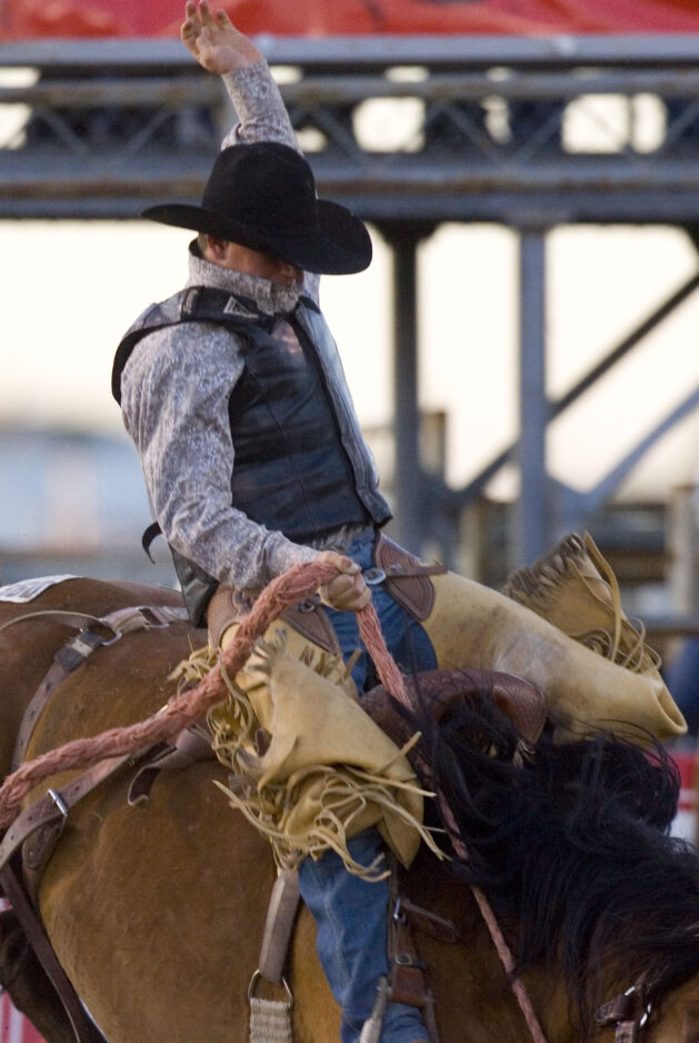 Yeehaw! Utah County cowboys compete in the national rodeo | News ...